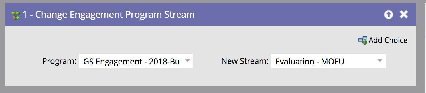 Marketo Success Series: Engagement Programs