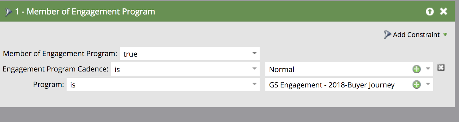 Marketo Success Series: Engagement Programs