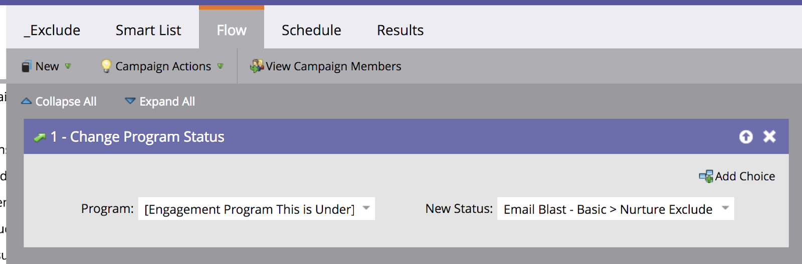 Marketo Success Series: Engagement Programs