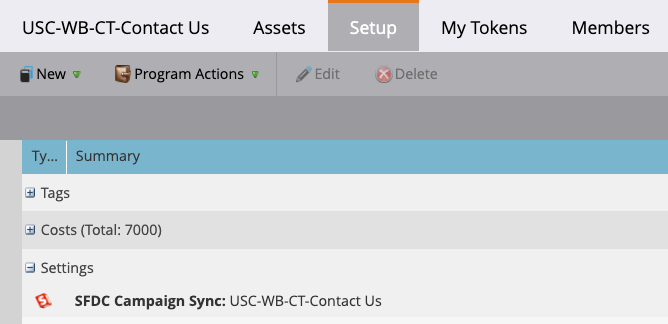 Marketo Program Member Custom Fields & Salesforce Campaign Member Fields
