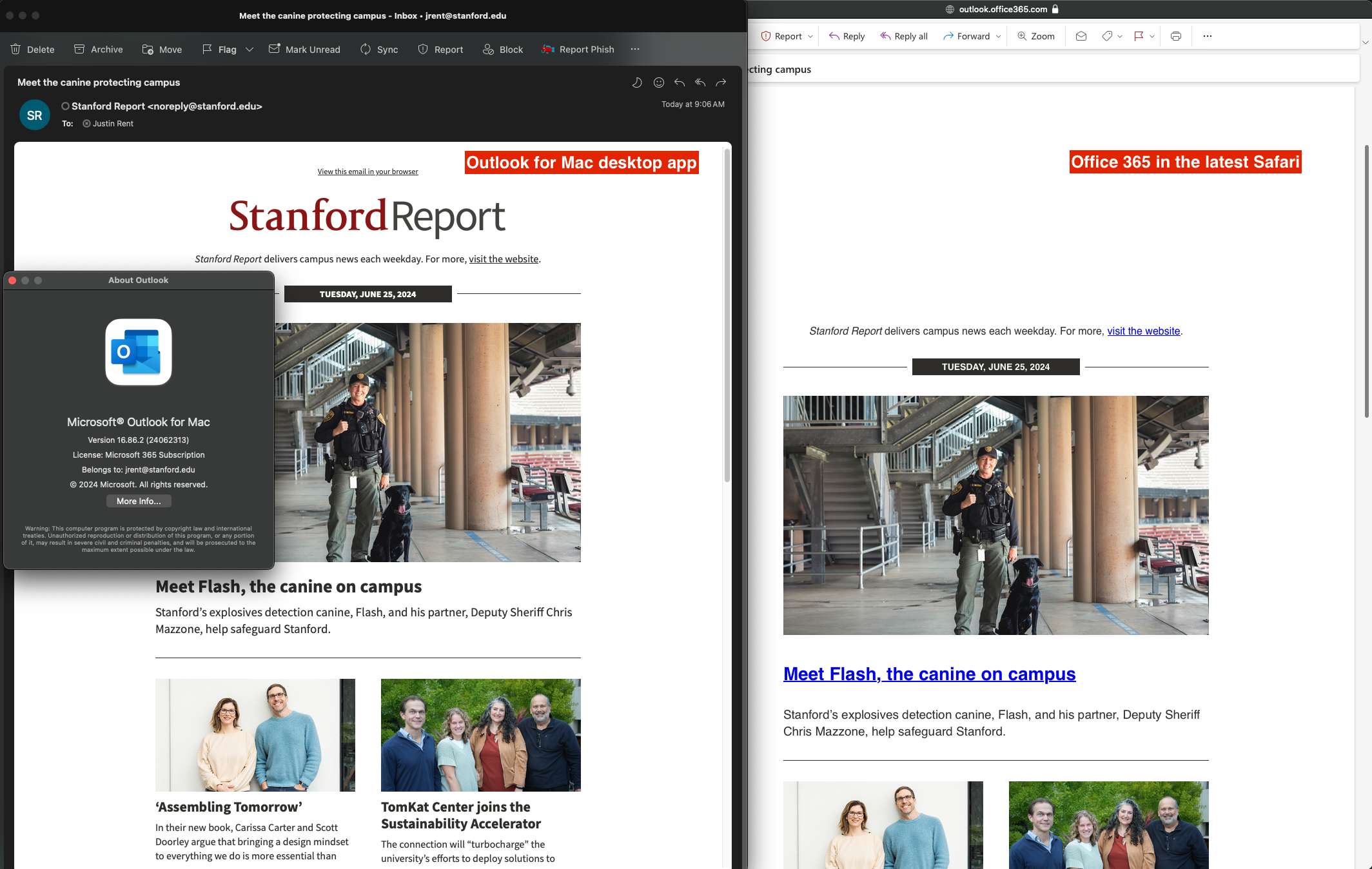 Solved: Microsoft Office 365 Outlook rendering poorly - Marketing Nation