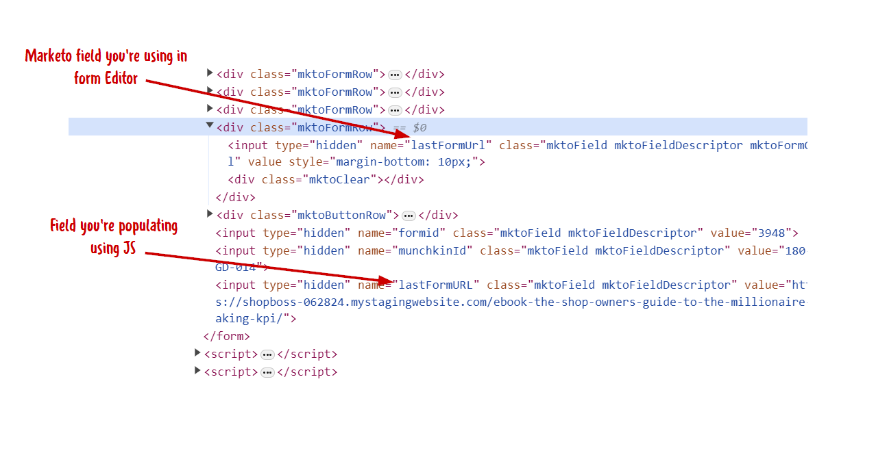 Solved: Custom JS for forms - Marketing Nation